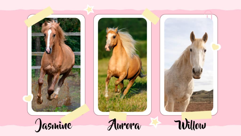 Horse Name Generator: Unique Names | NamesGenerator