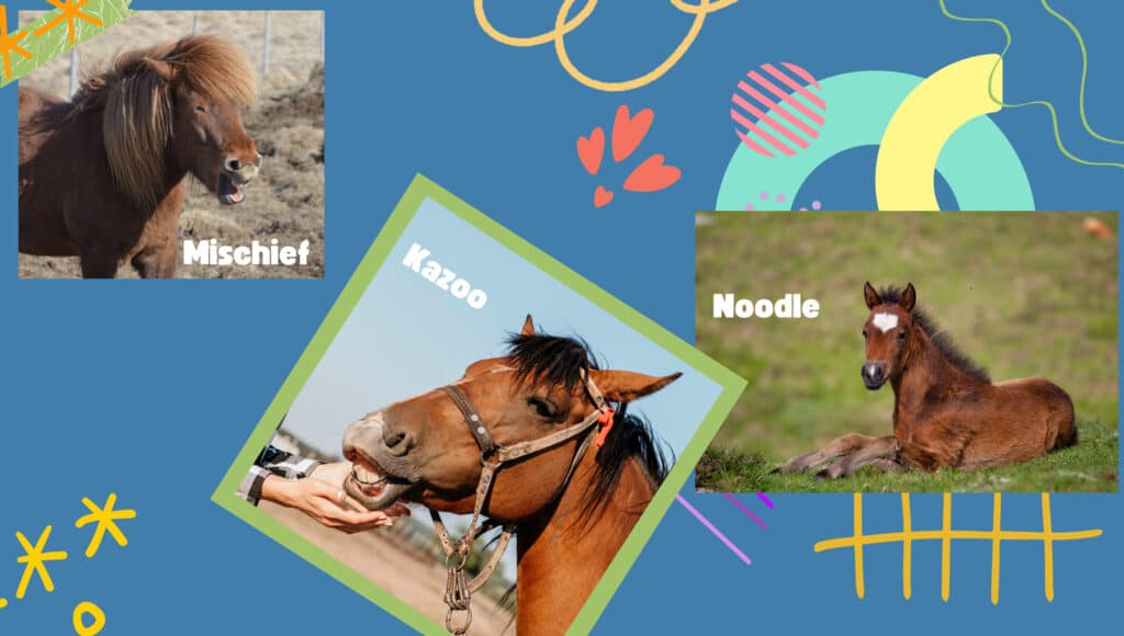 Horse Name Generator: Unique Names | NamesGenerator