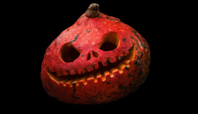 One Piece Name Generator – Sail the Seas with Your Own Pirate Name ...