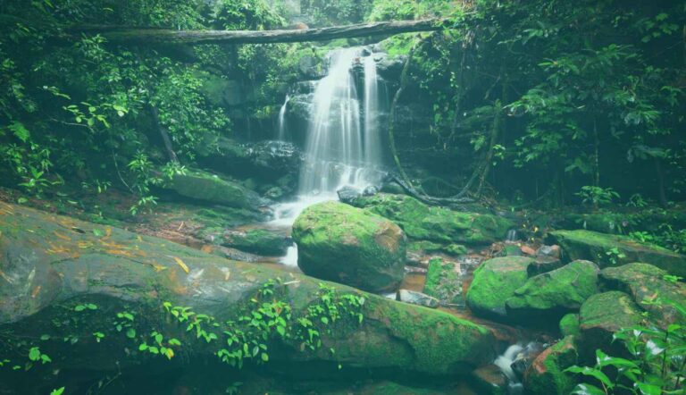 State Name Generator – Discover Names Inspired by U.S. States - Names ...