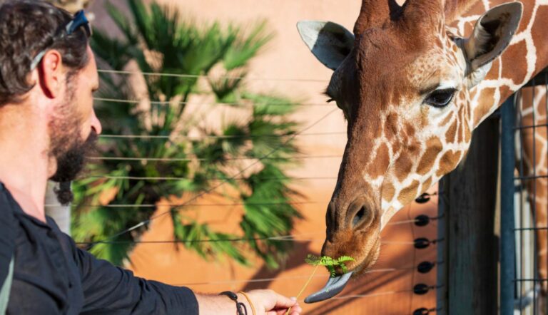 Oc Name Generator - Names Generator