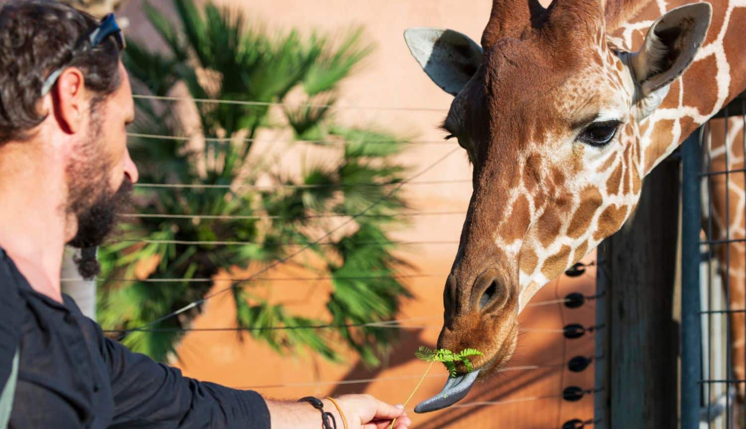 Oc Name Generator - Names Generator